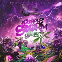 Mixtape of Purple Storm by dj spliff- My Mixtapez