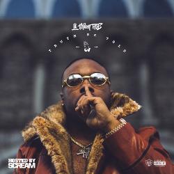 Mixtape of Truth Be Told by Lil Mikey TMB- My Mixtapez