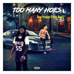 Single of Too Many by Yung Princey- My Mixtapez