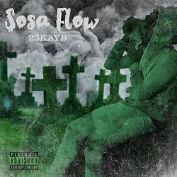 Single of Sosa Flow by 23KayB- My Mixtapez