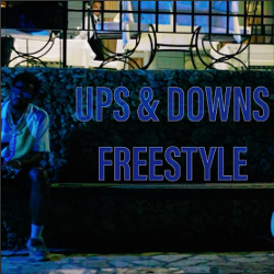 Single of Ups & Downs Freestyle by Fabolous- My Mixtapez